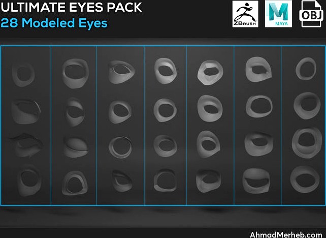 EyeLids Asset 3d model