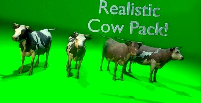 Realistic Cow Pack 3d model