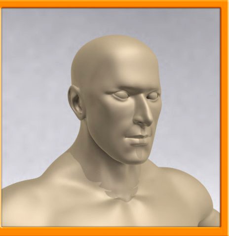 REALISTIC Male muscle 3D Model