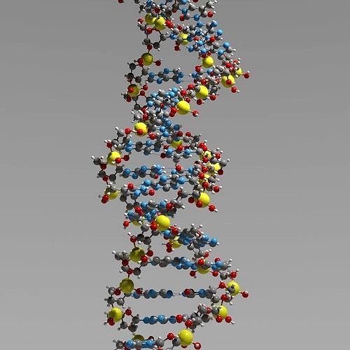 DNA Science model 3d