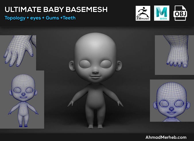 Ultimate Baby Base Mesh 3d model