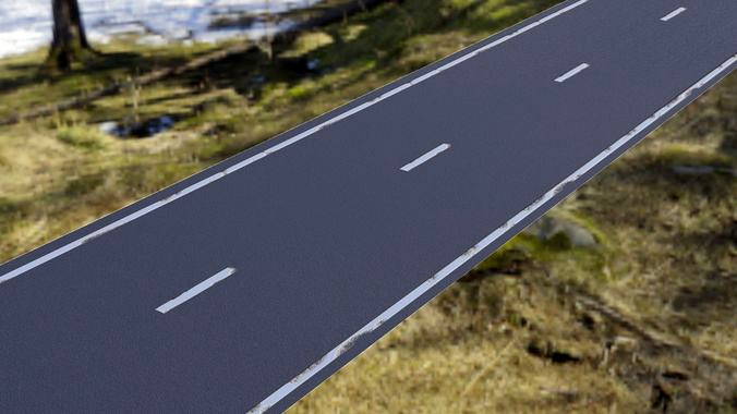 Asphalt Road 3d model