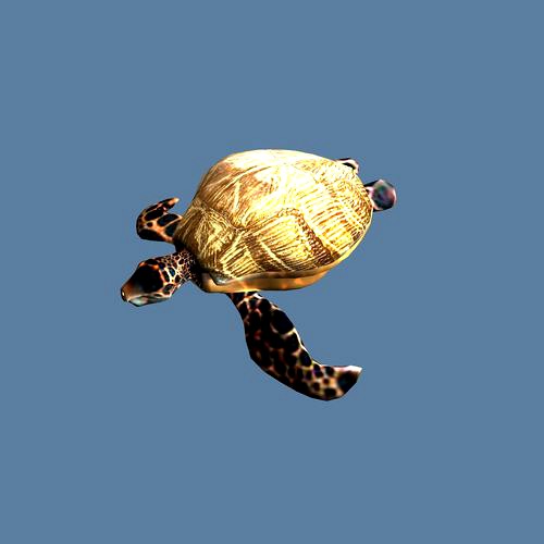 golden turtle 3d model
