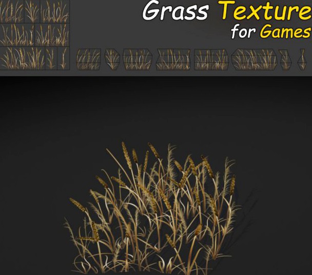 Dry Plains Grass 3D Model