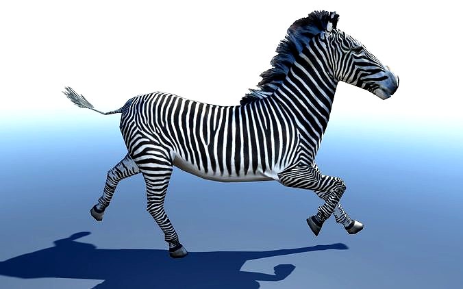 Zebra 3D Model