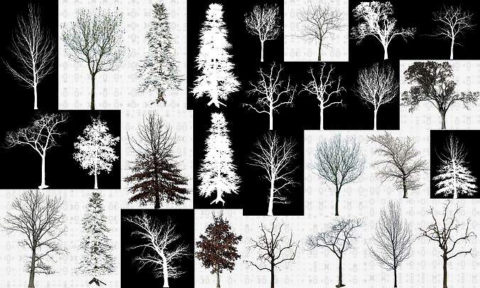 2D PLANTS 14 PNG Pack 1 3d model