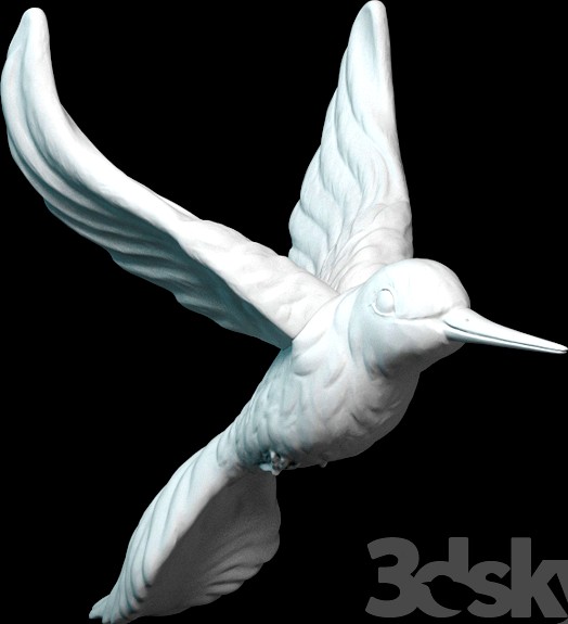 Colibri 3d model