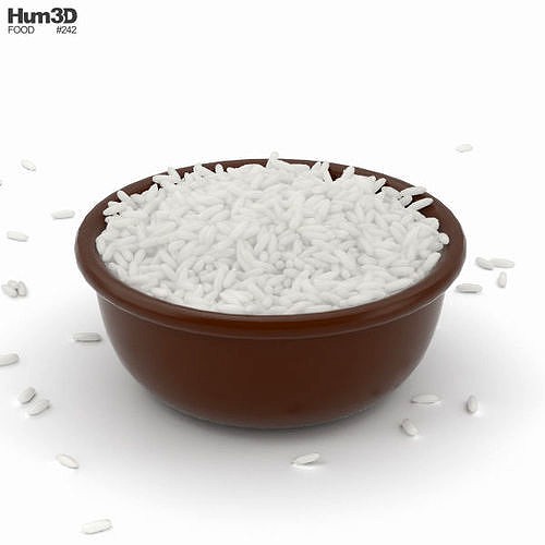 The Rice 3d model