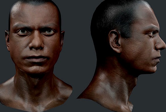 Male Human Character Head Game Ready 06 3d model
