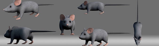 cartoon mouse 3d model