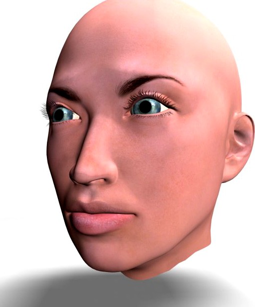 Animated Female Head 3D Model