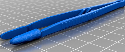 Amazing Birds! Bird Beaks 3d model