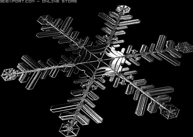 snowflake 3D Model