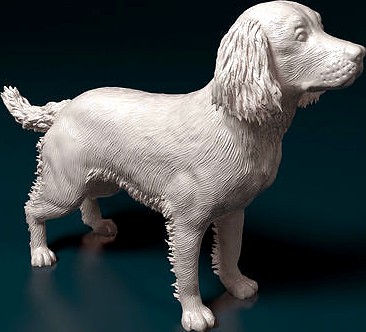 English springer spaniel | 3D model