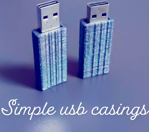 Simple USB Casing 3d model