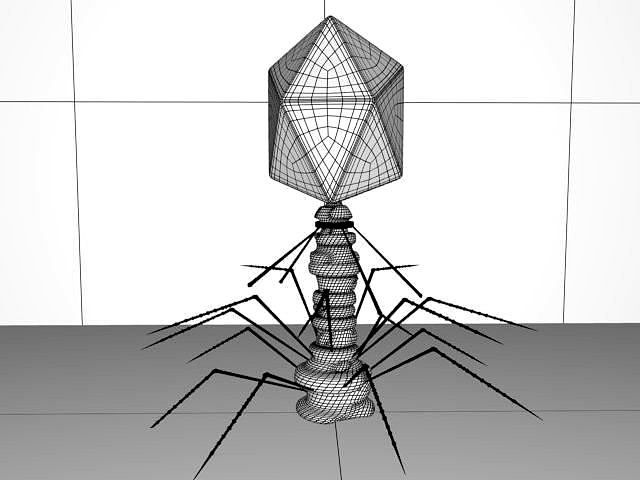 Enterobacteria phage T2 3d model