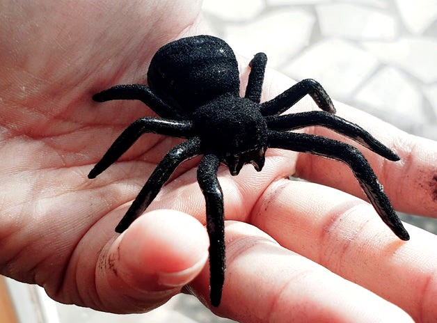 SPIDER PRINTABLE EASY 3d model