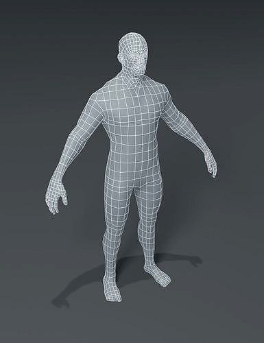 Male Body Base Mesh 3D Model