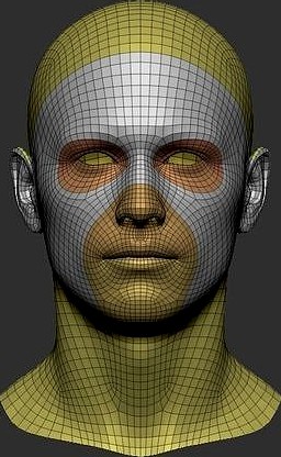 head basemesh best topology 3d model
