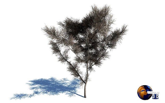 Realistic Dead Tree 3d model