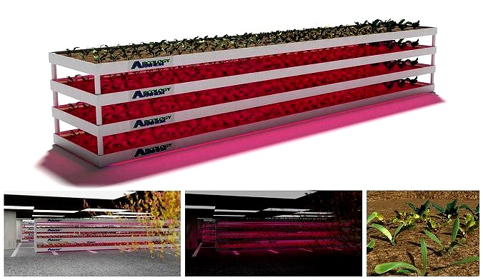 3D Realistic indoor vertical farming model