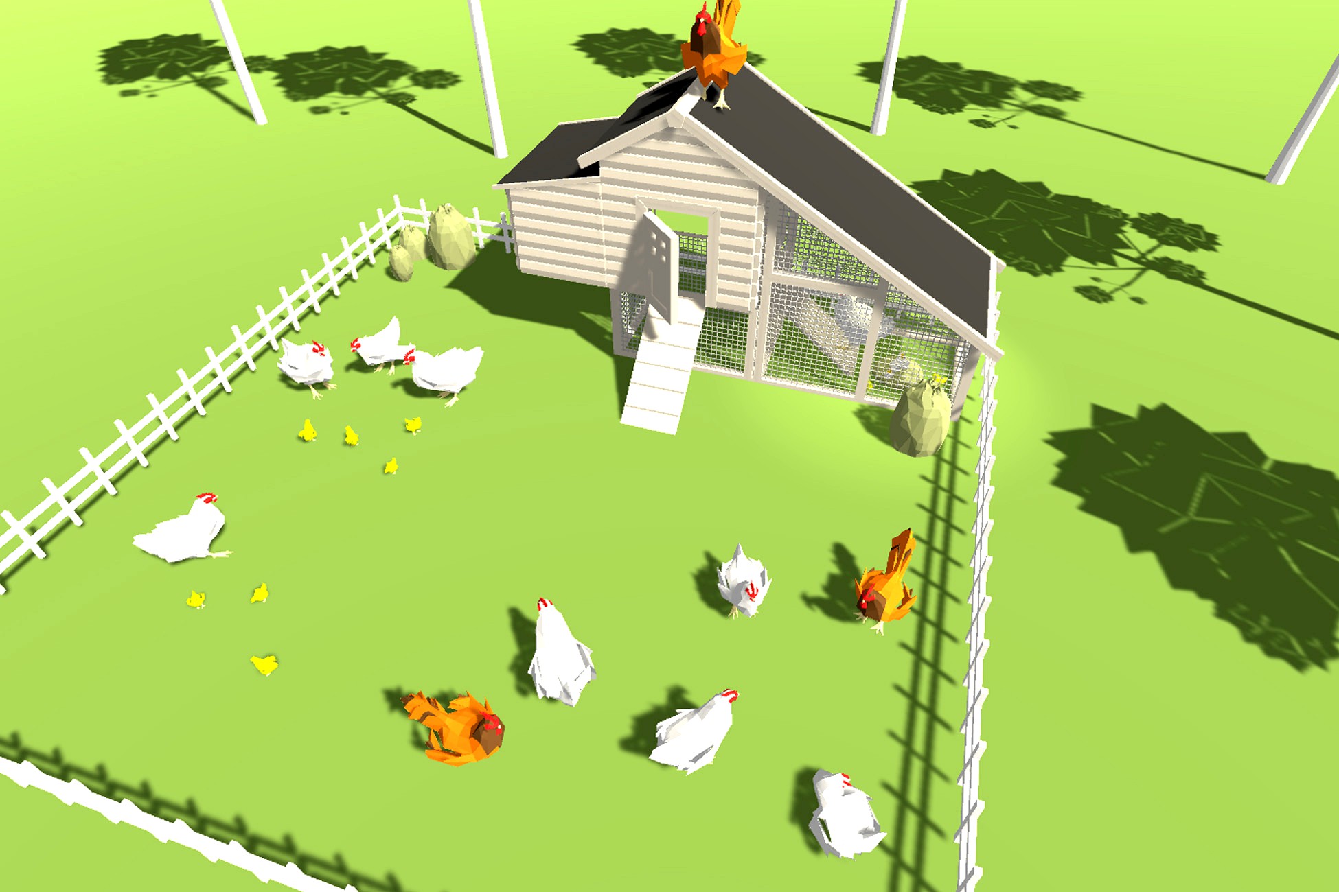 3D Lowpoly Chicken model animation