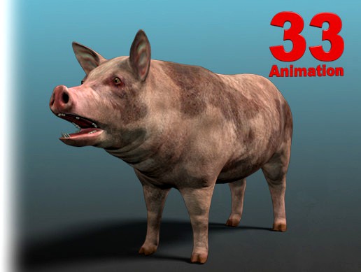 Domestic Animal - Pig (Hog)(Full) 3d model