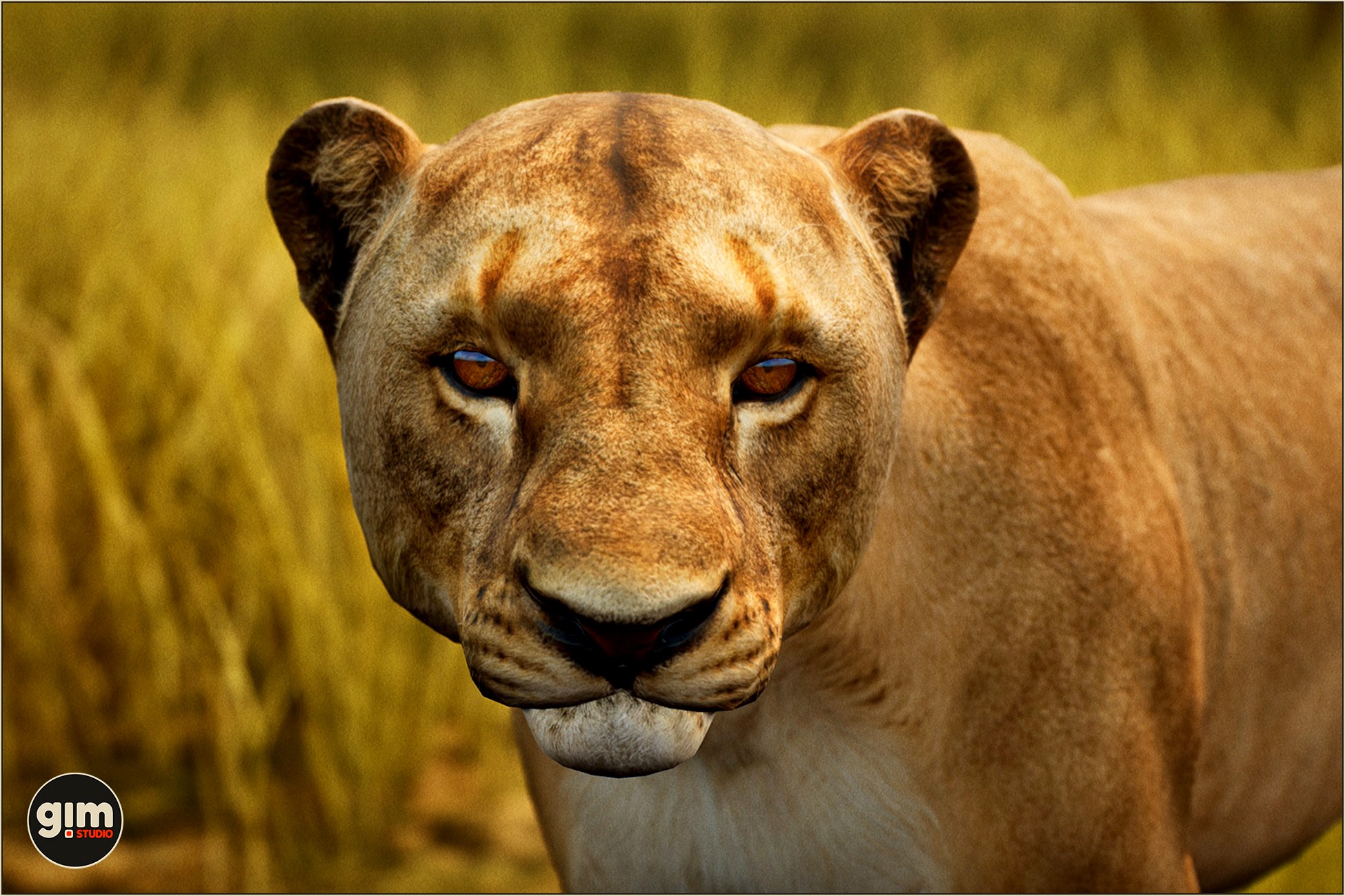 Animalia - Lion (female) 3d model