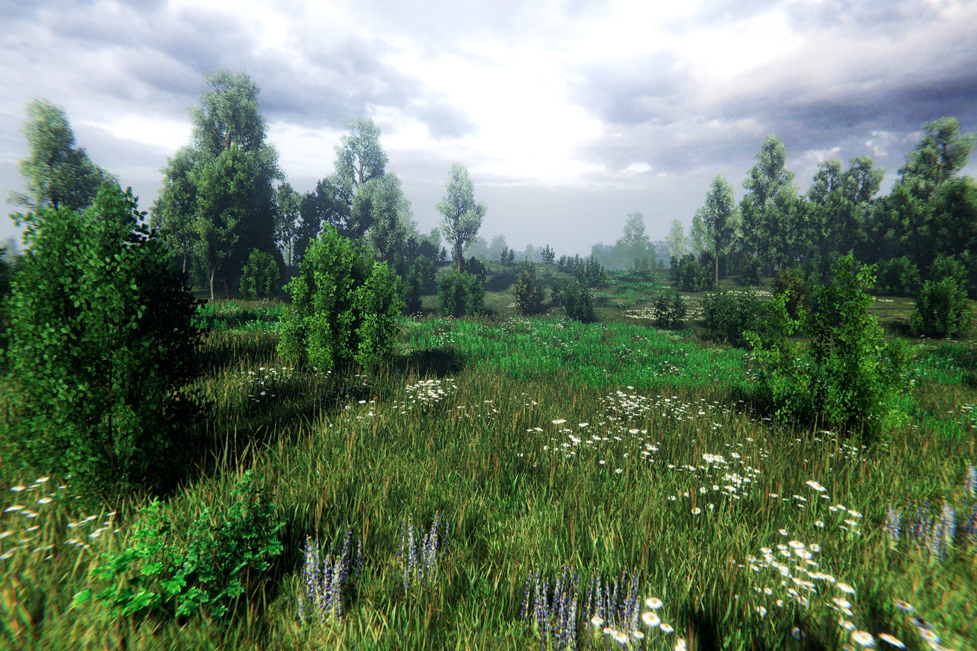Nature Package - Swamp,Forest Environment 3d model