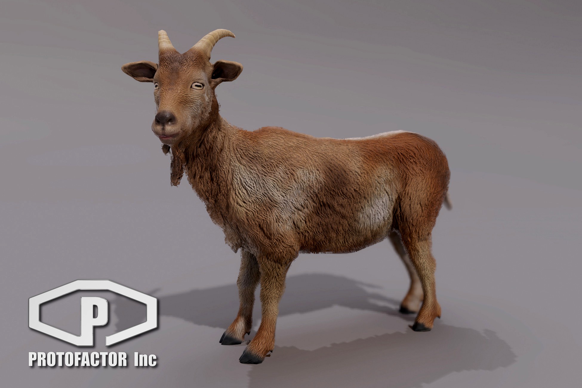 GOAT 3d model