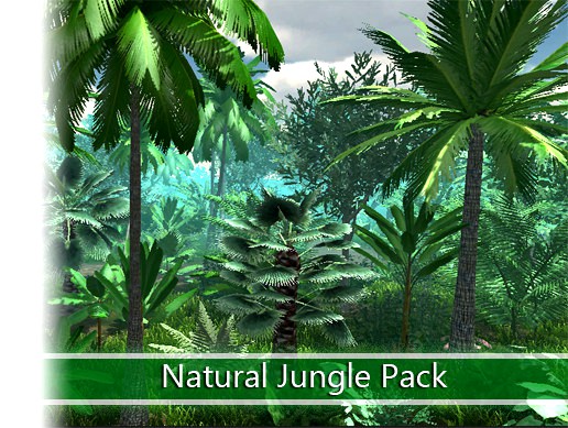 Natural Jungle Pack 3d model