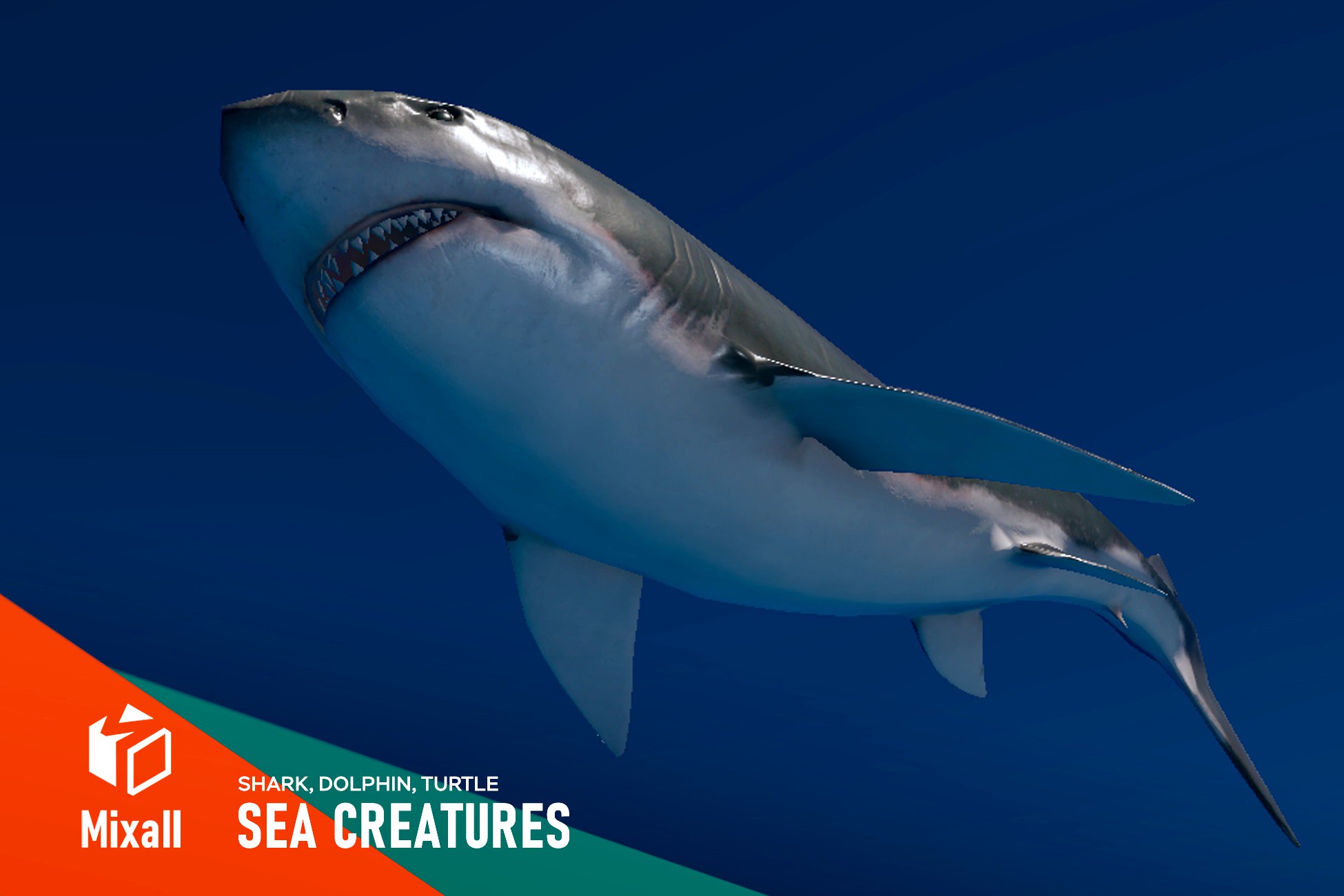 Sea Creatures - Shark, dolphin, stingray and turtle 3d model