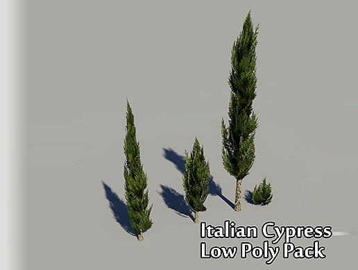 Italian Cypress Low Poly Tree Pack 3d model