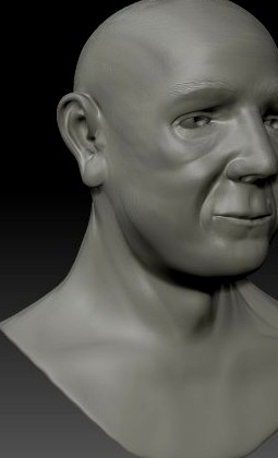 Human Bust 3D Model
