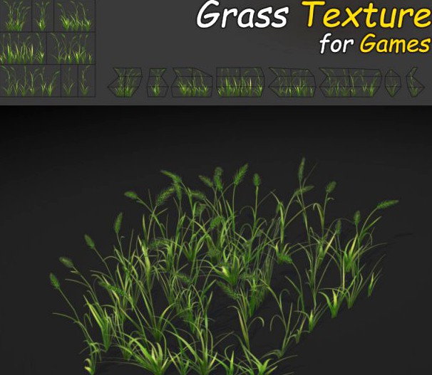 WheatGrass Texture 3D Model