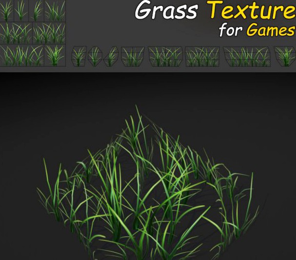 Blue Grass Texture 3D Model