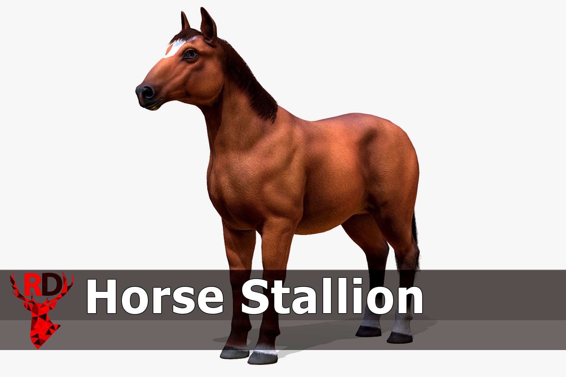 Horse - Stallion 3d model