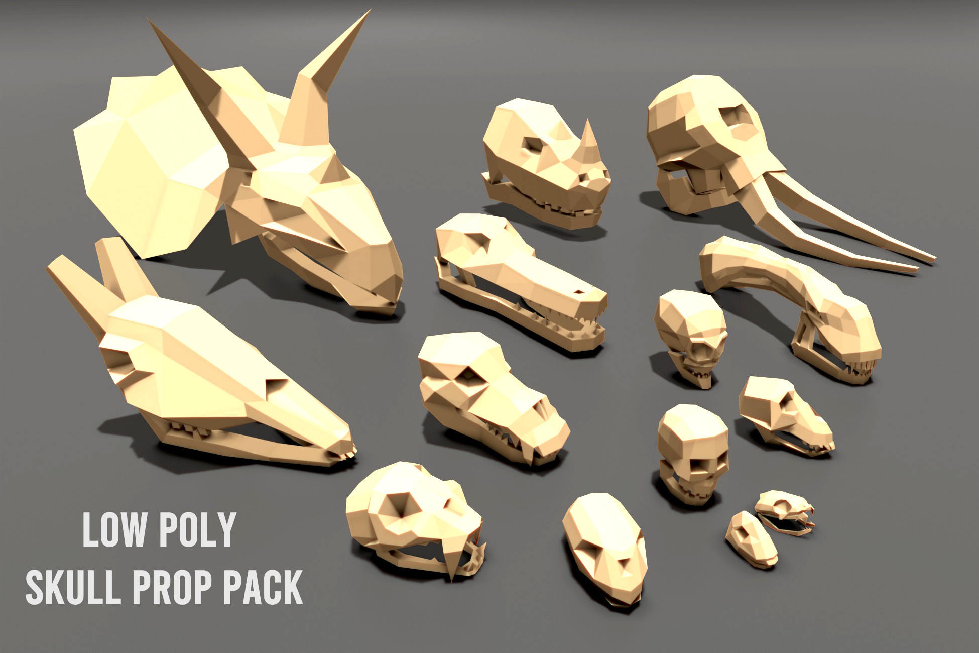 Low Poly Skull Prop Pack 3d model