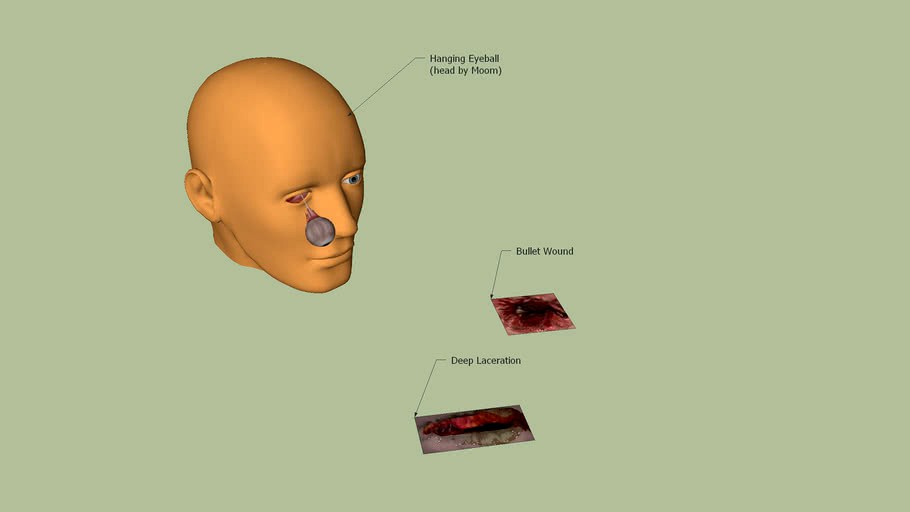 Wounds 3d model