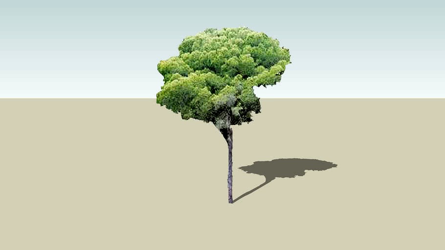 2d plants 3d model
