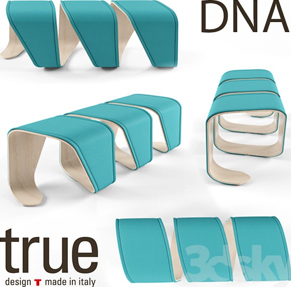 True Design DNA 3d model