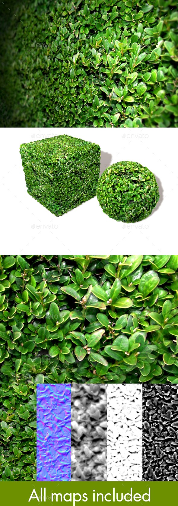 Shrub Seamless Texture 3d model