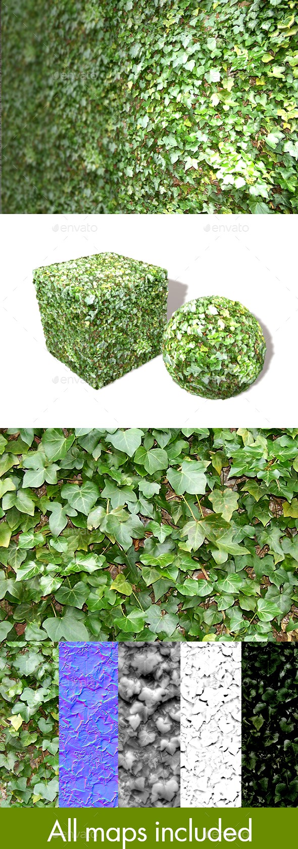 Ivy Wall Seamless Texture 3d model