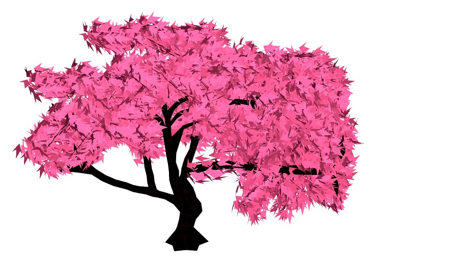 Cherry Blossom Tree 3d model