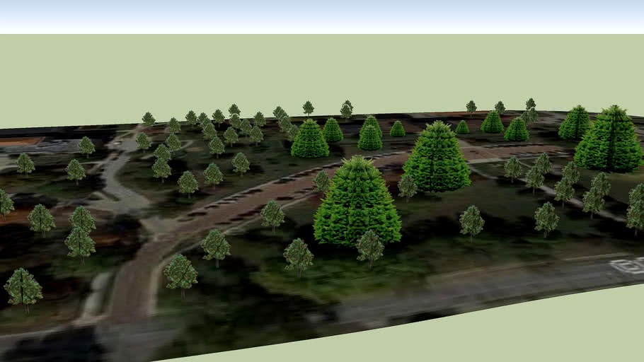 Sherman Hall Tree Layer 3d model