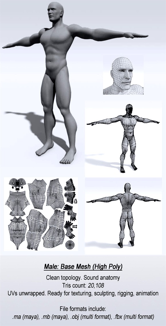 Male: Base Mesh (High Poly) 3d model