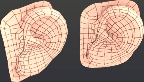 Low poly human ear 3d model