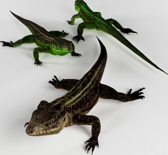 lizard 3d model