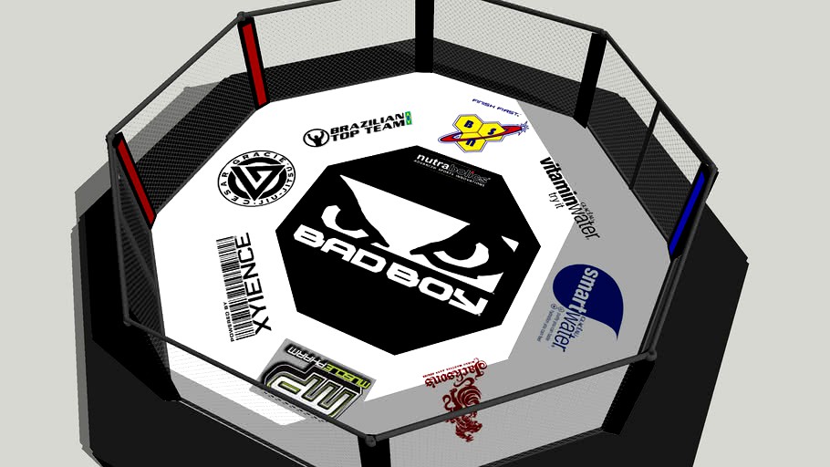 MMA Octagon 3d model