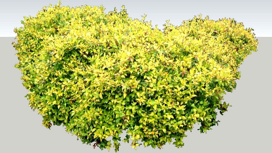 2D Small bush 3d model